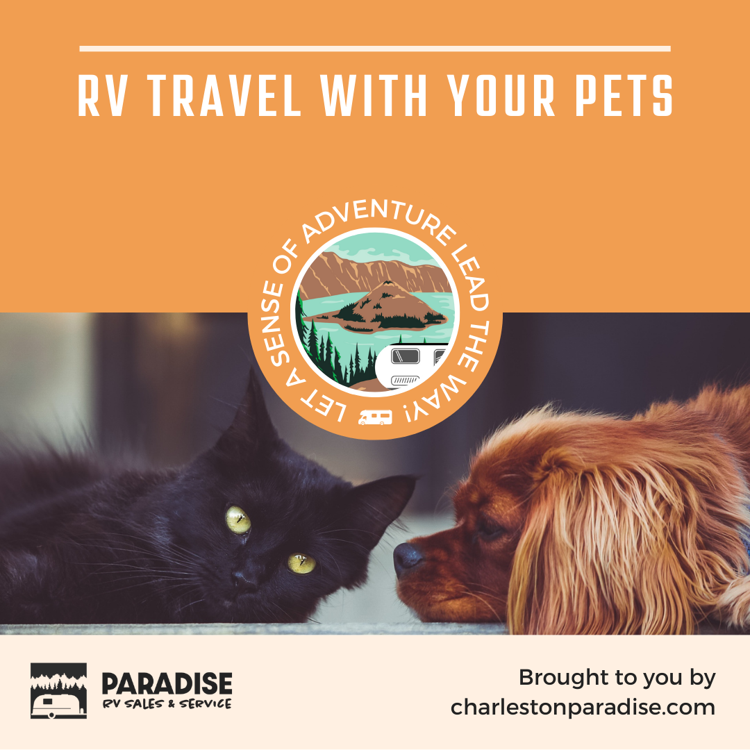 RV Travel With Your Pets
