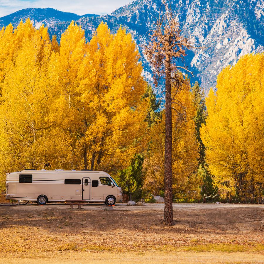 RV Tips