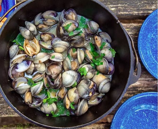Campfire Steamed Clams - Plattsburgh RV Store