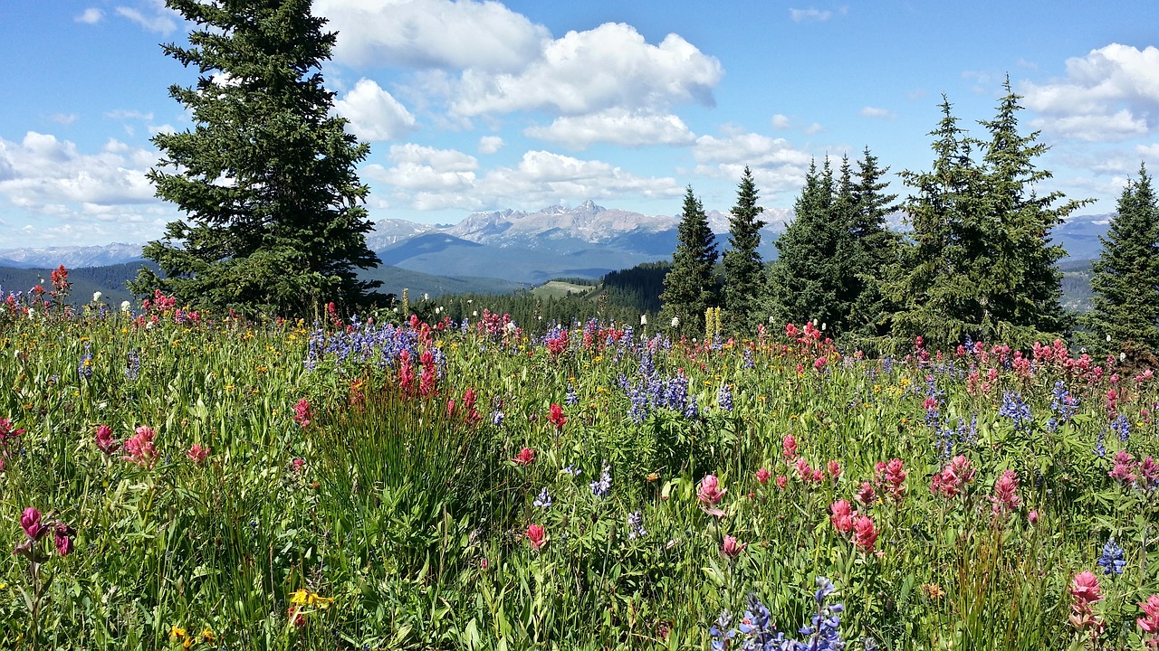 Don't Miss This Stunning Spring Camping Destination in Colorado ...