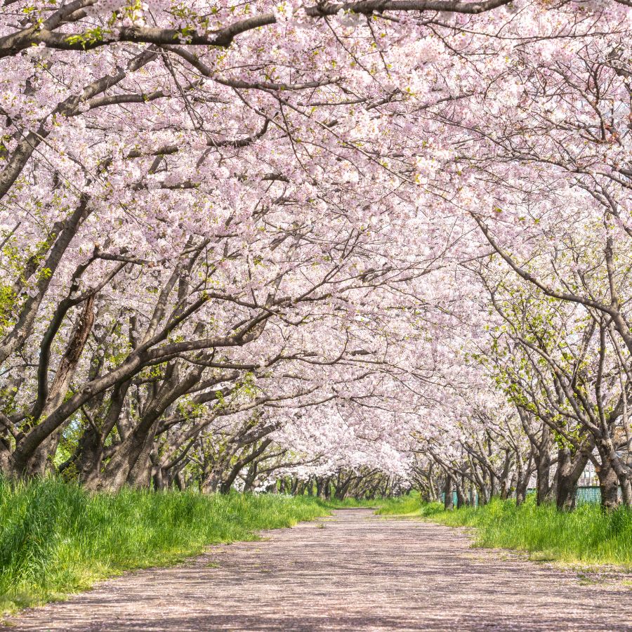 Travel Destination: Traverse City, MI - RV Roadway Review