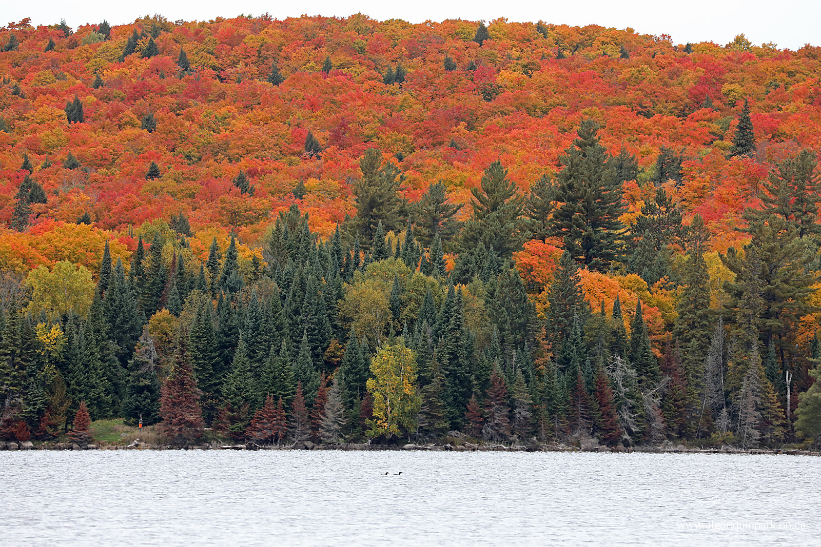 7 of the Most Beautiful Fall Destinations in Ontario | Outdoor Travel Blog