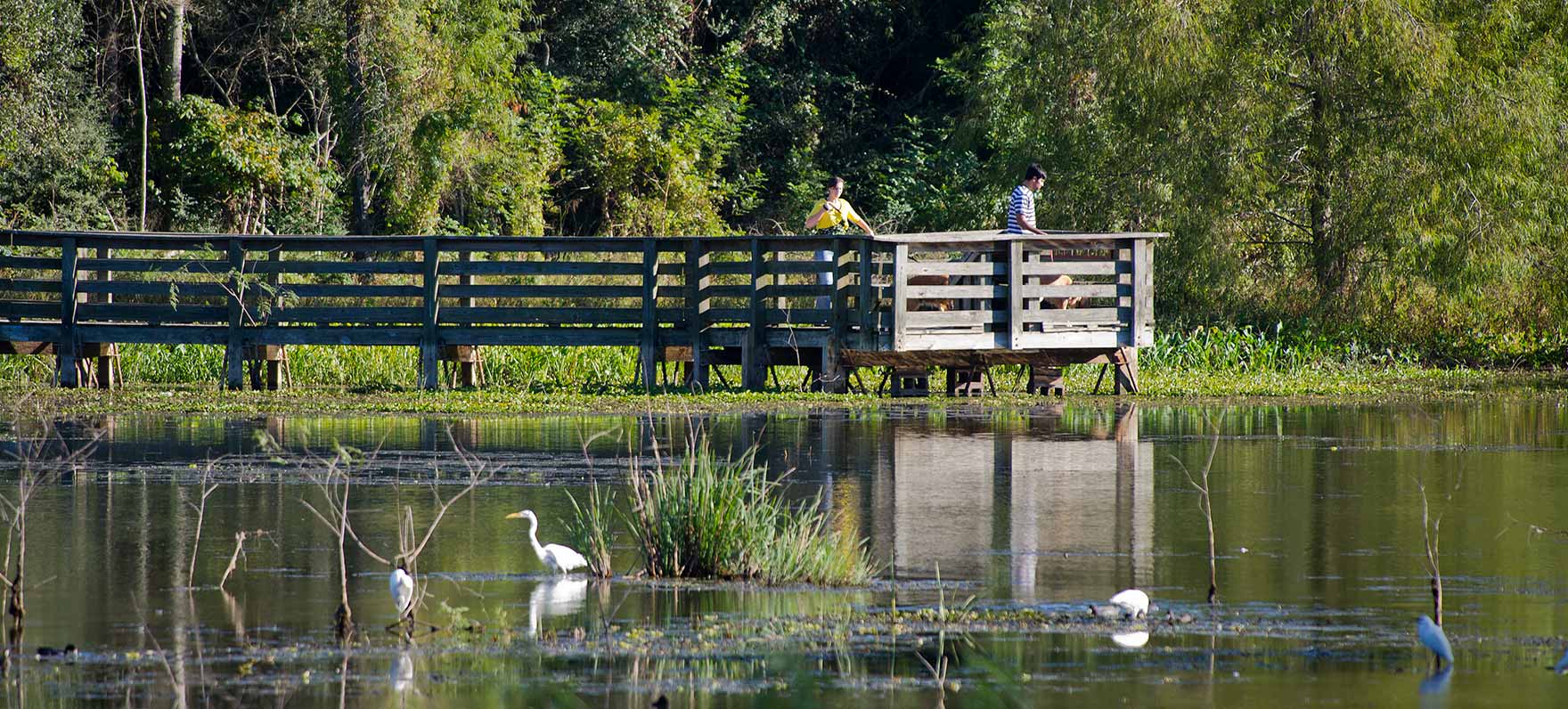 Brazos Bend State Park: A Wilderness Paradise - Topper's Camping Center
